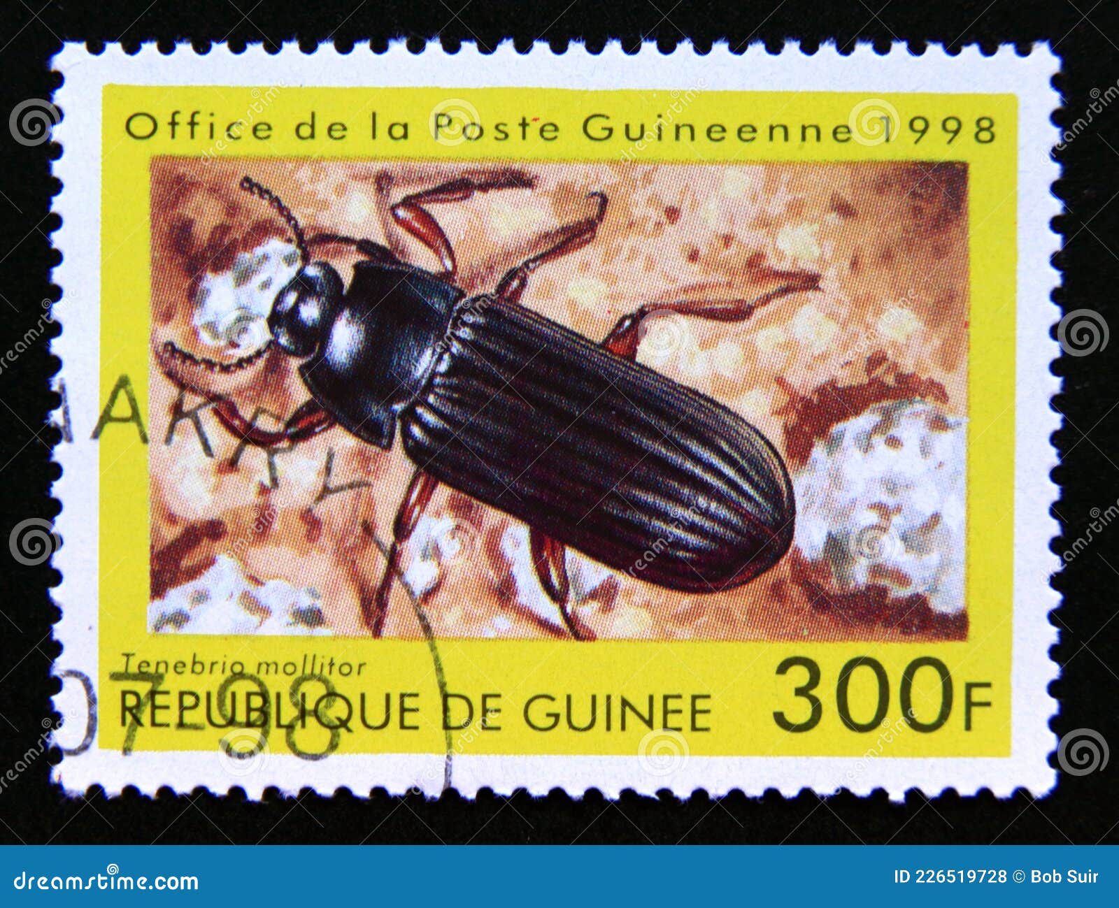 Postage Stamp Guinea, 1998. Yellow Mealworm Beetle Tenebrio Molitor ... Postage Stamp Guinea, 1998. Yellow Mealworm Beetle Tenebrio Molitor ...