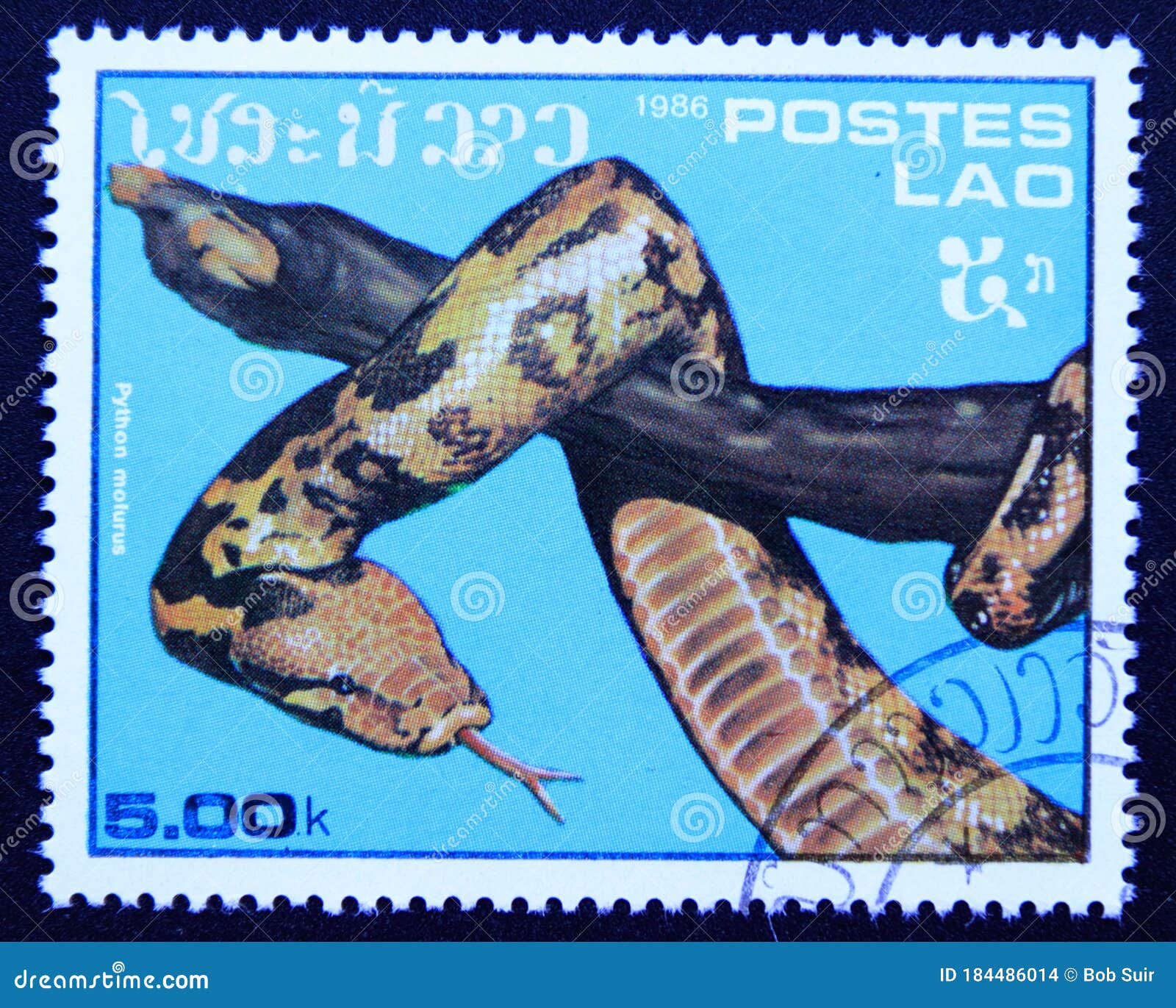 Python-3 On Paper Texture Editorial Photo | CartoonDealer.com #205684199