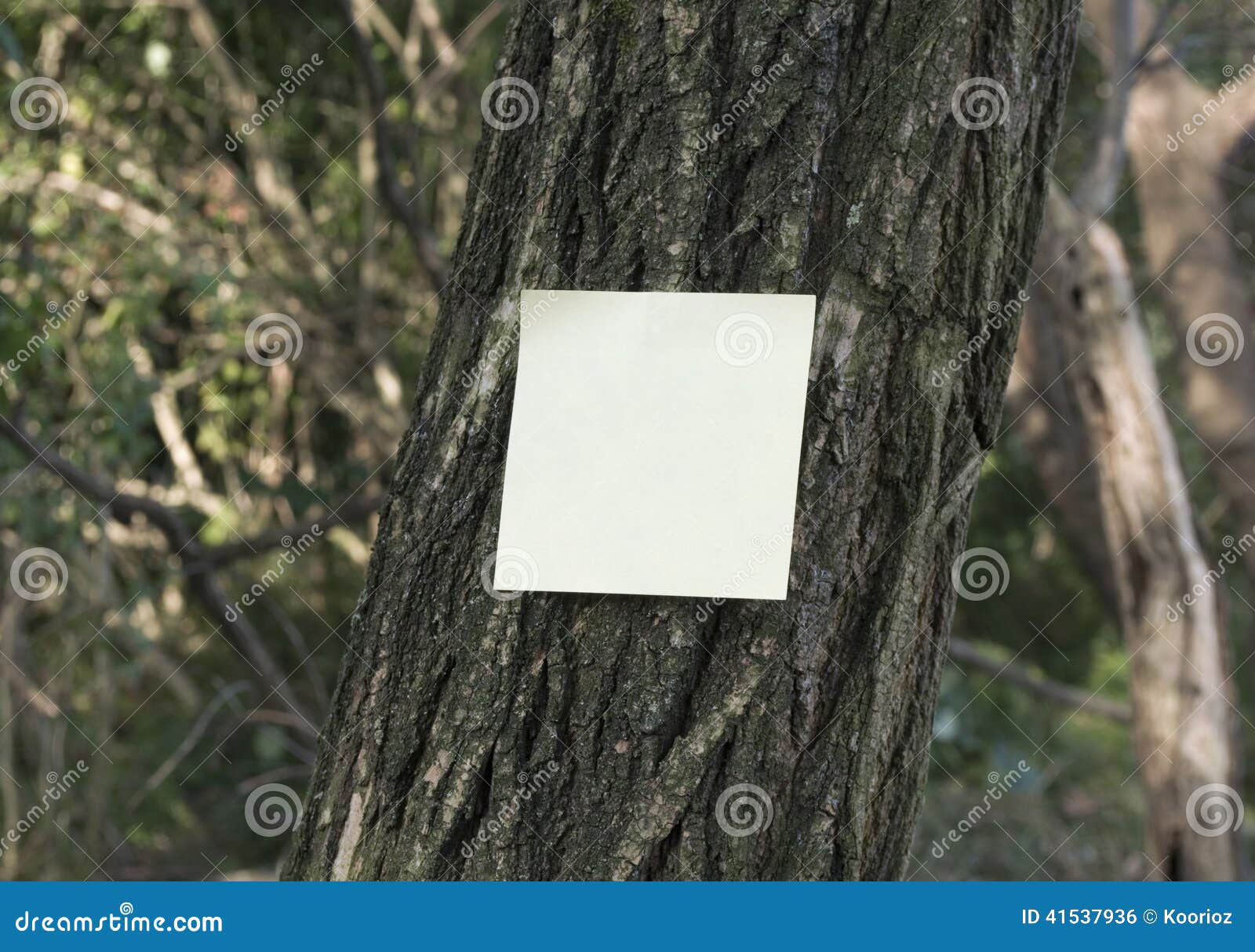 Post it on tree stock photo. Image of concept, notice - 41537936