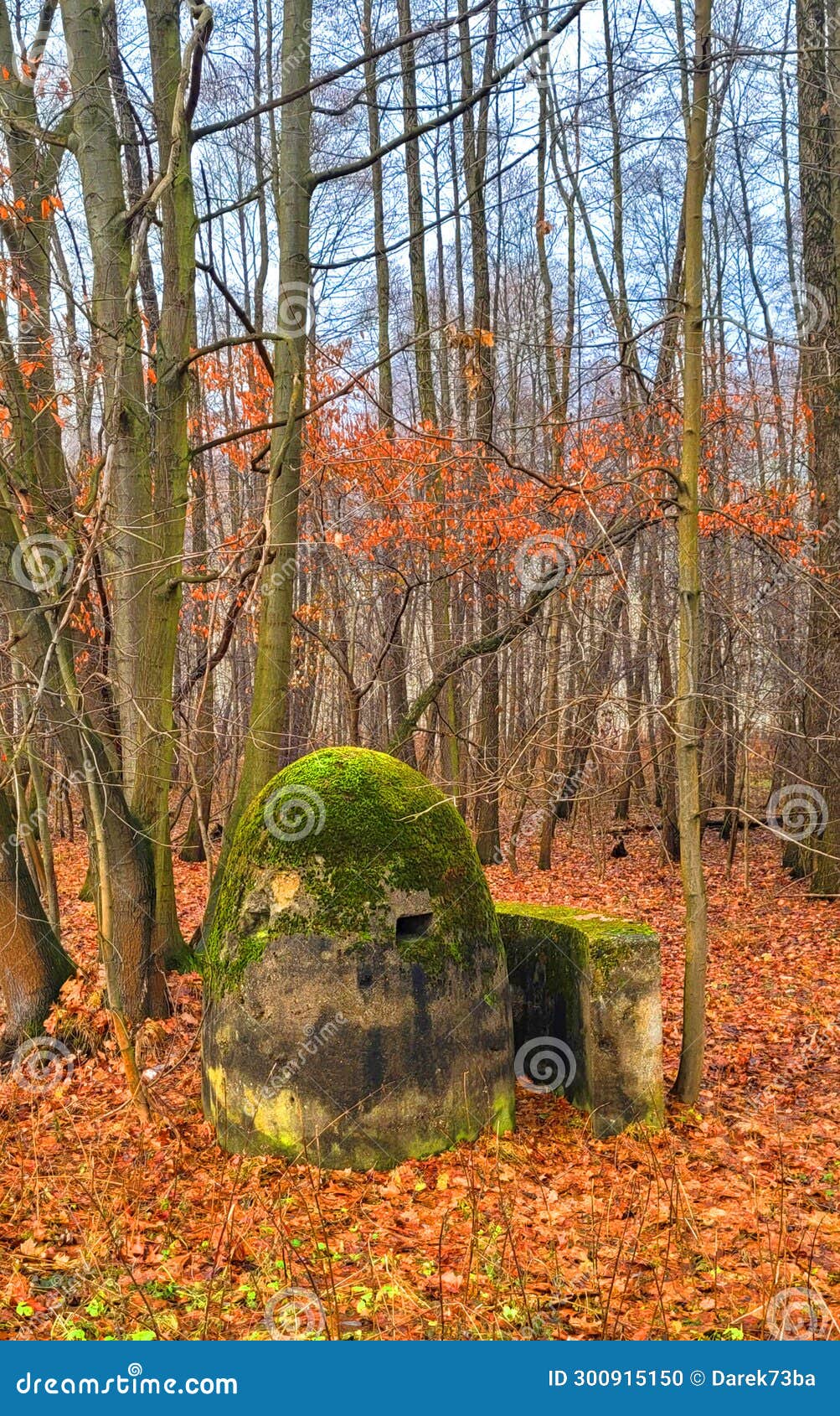 A Post-war Bunker in the Forest Stock Photo - Image of tree, bunker ...