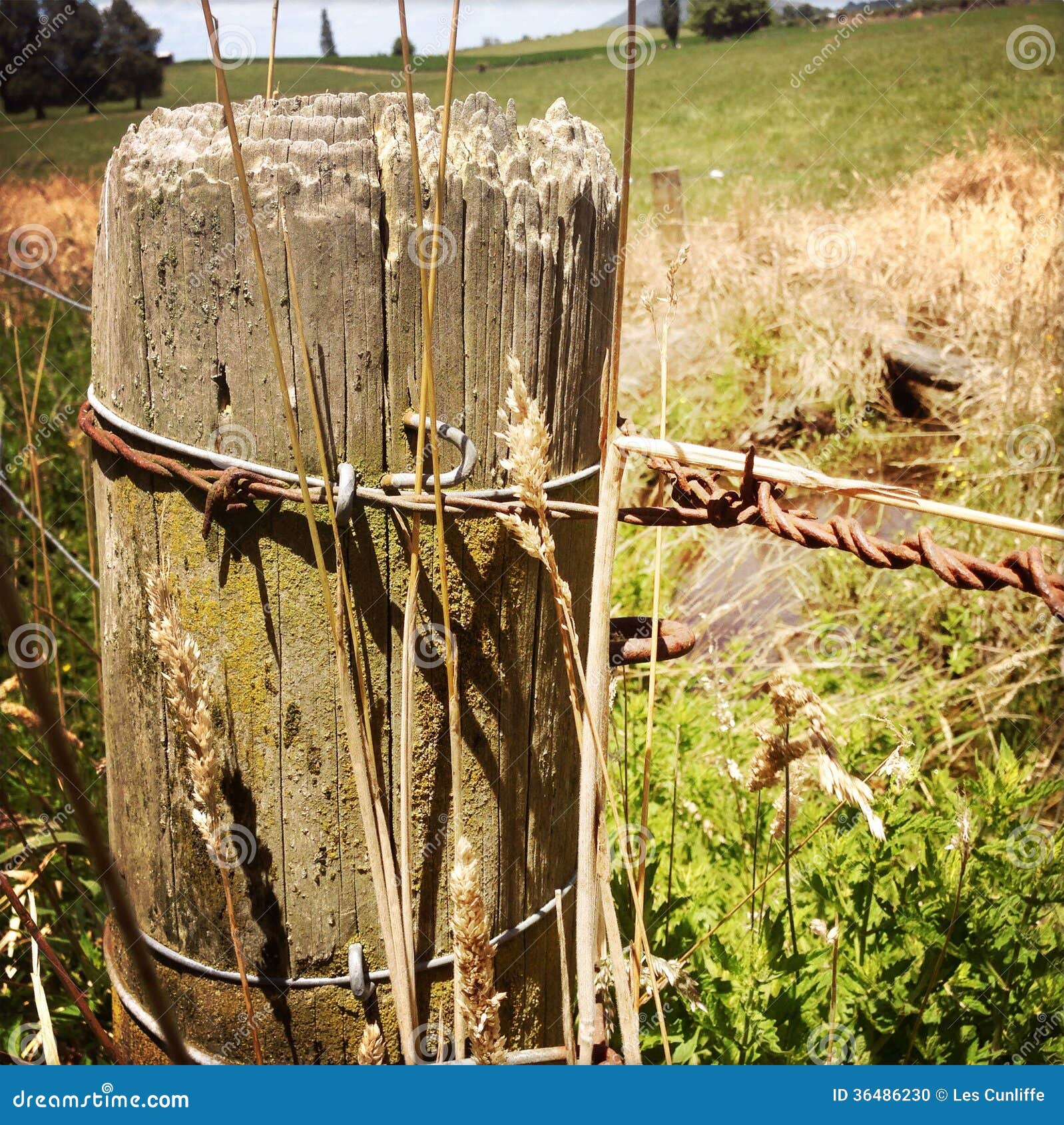 Post and wire stock photo. Image of outdoors, farm, wood - 36486230