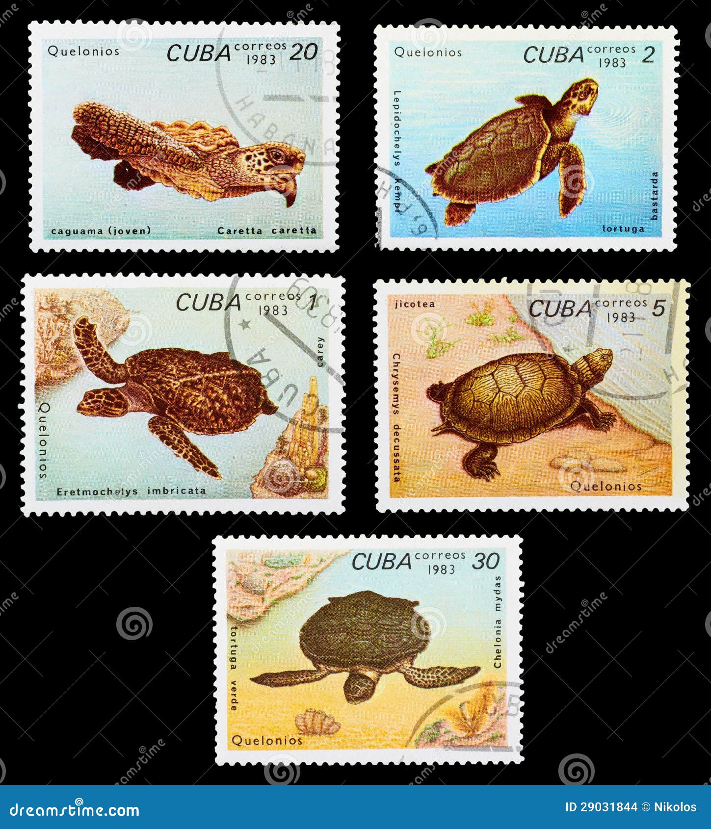 Turtles Postage Stamp Stock Photos - Free & Royalty-Free Stock Photos ...