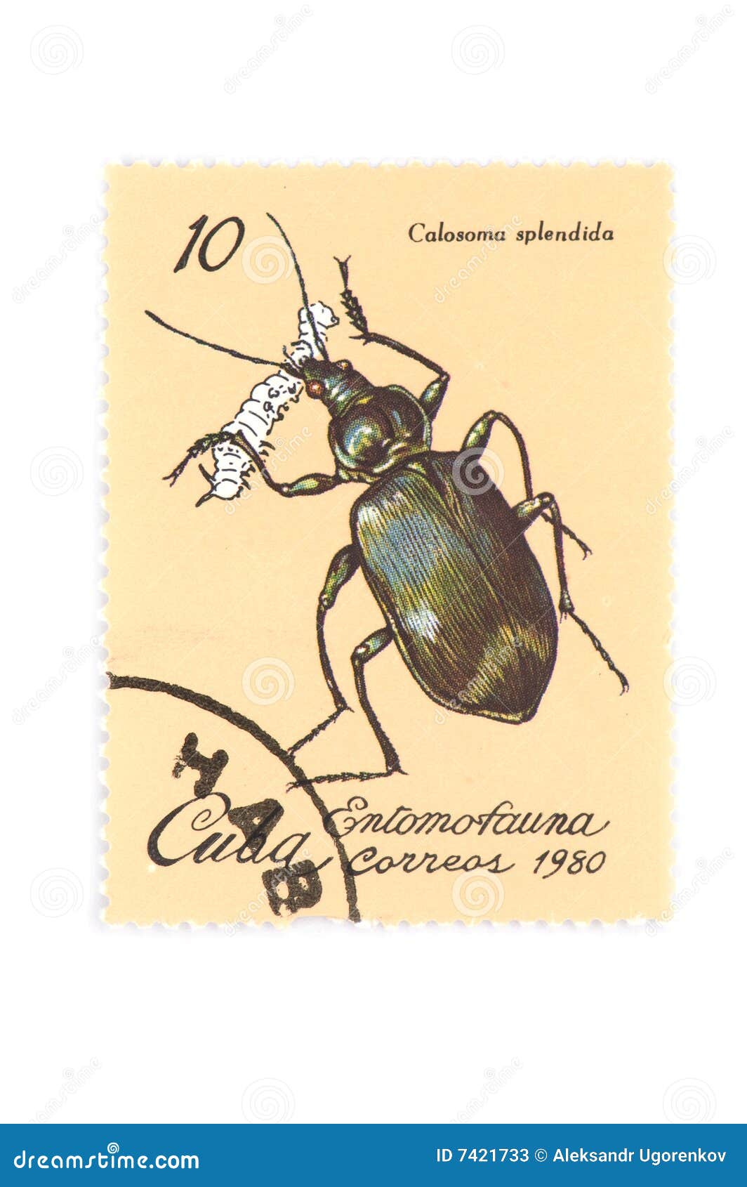 Postage stamp beetle macro editorial stock photo. Image of obsolete ...