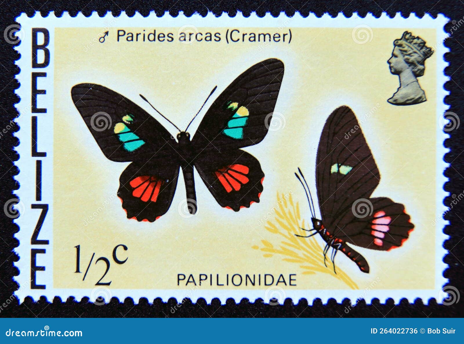 Postage Stamp Belize, 1974. Arcas Cattleheart Butterfly Parides Arcas ...