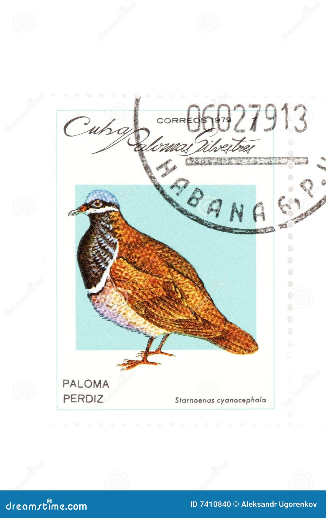 Postage stamp bird editorial image. Image of philatelic - 7410840