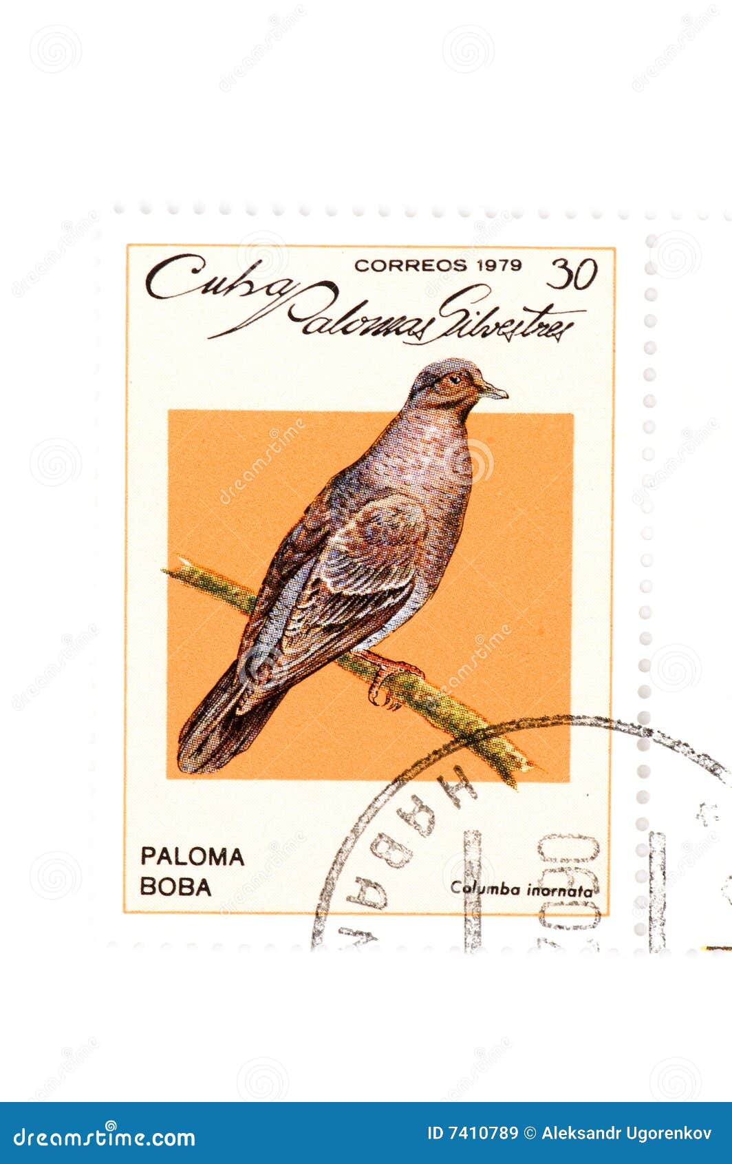 Postage Stamp Bird Close Up Editorial Stock Image - Image of exotic ...