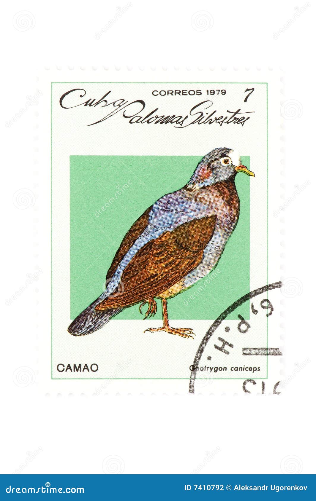 Postage stamp bird closeup editorial photography. Image of philately ...