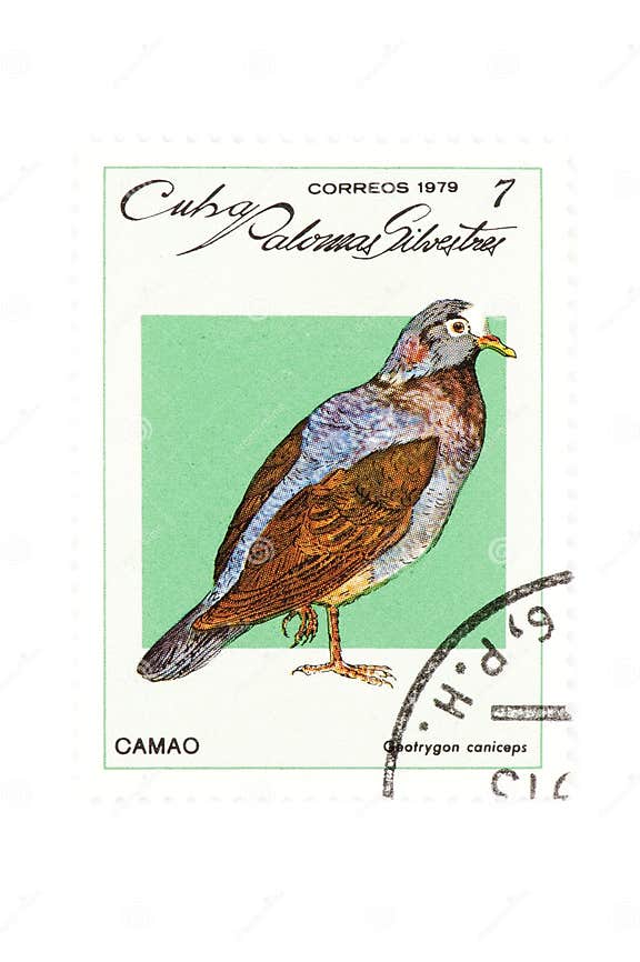 Postage stamp bird closeup editorial photography. Image of philately ...