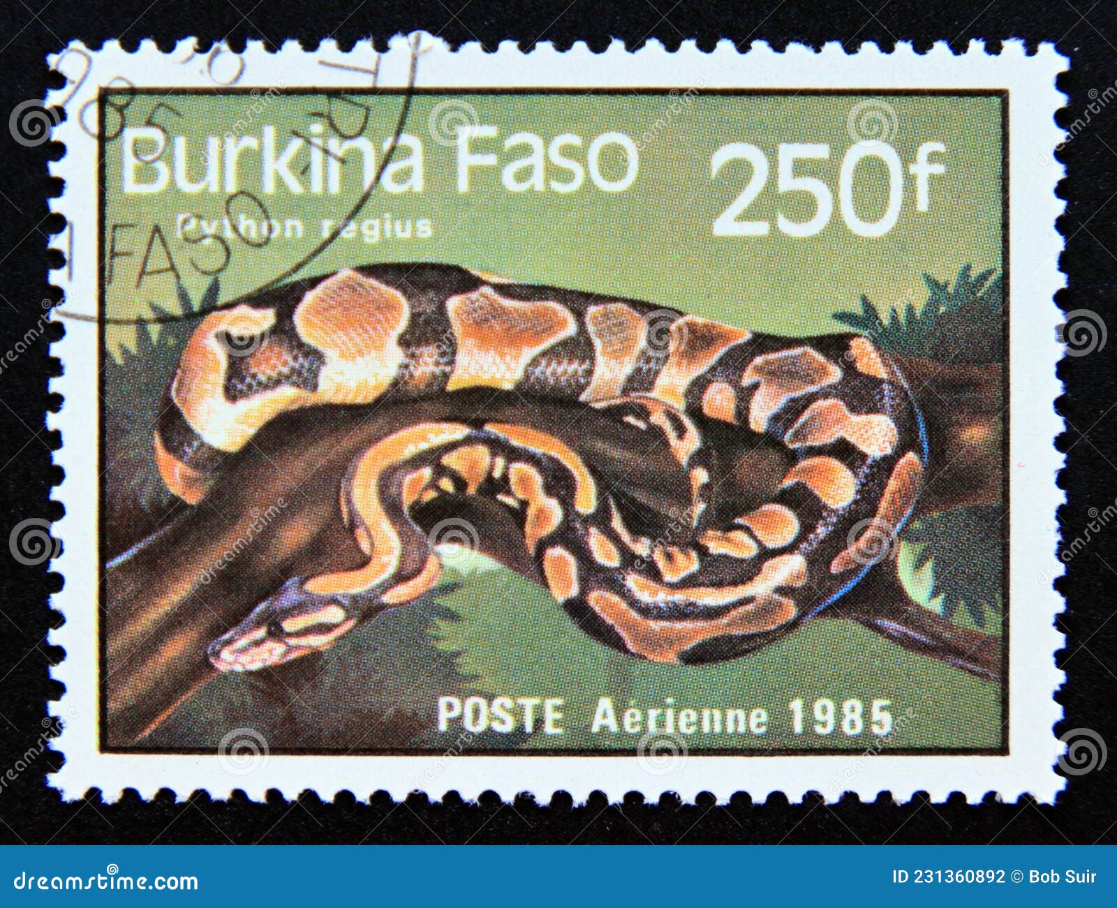 Postage Stamp Burkina Faso, 1985. Ball Phyton Python Regius Snake ...