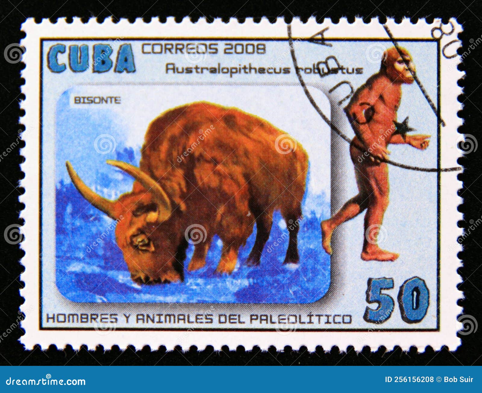 Postage Stamp Cuba, 2008. Bison, Australopithecus Robustus Prehistoric ...