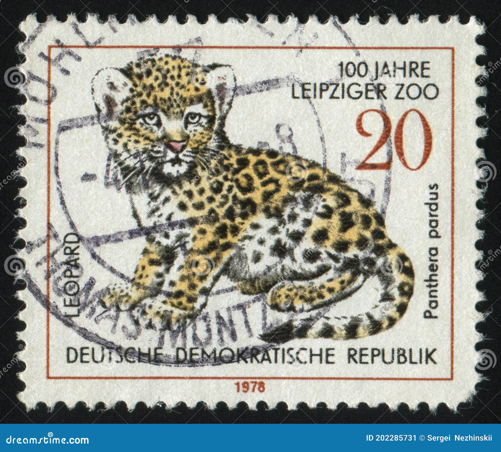 Postage stamp editorial photo. Image of postmark, leopard - 202285731