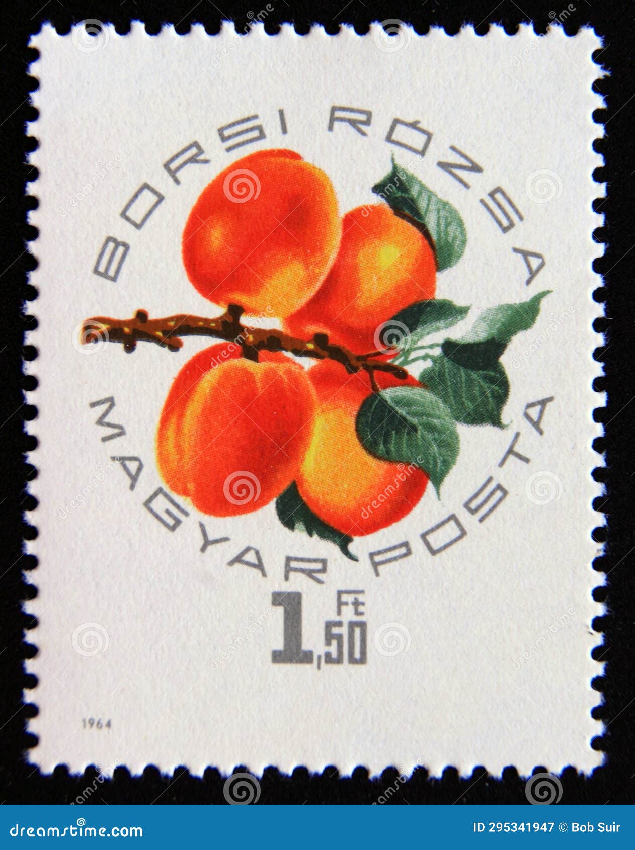Postage Stamp Hungary 1964. Apricots Fruit Editorial Photography ...