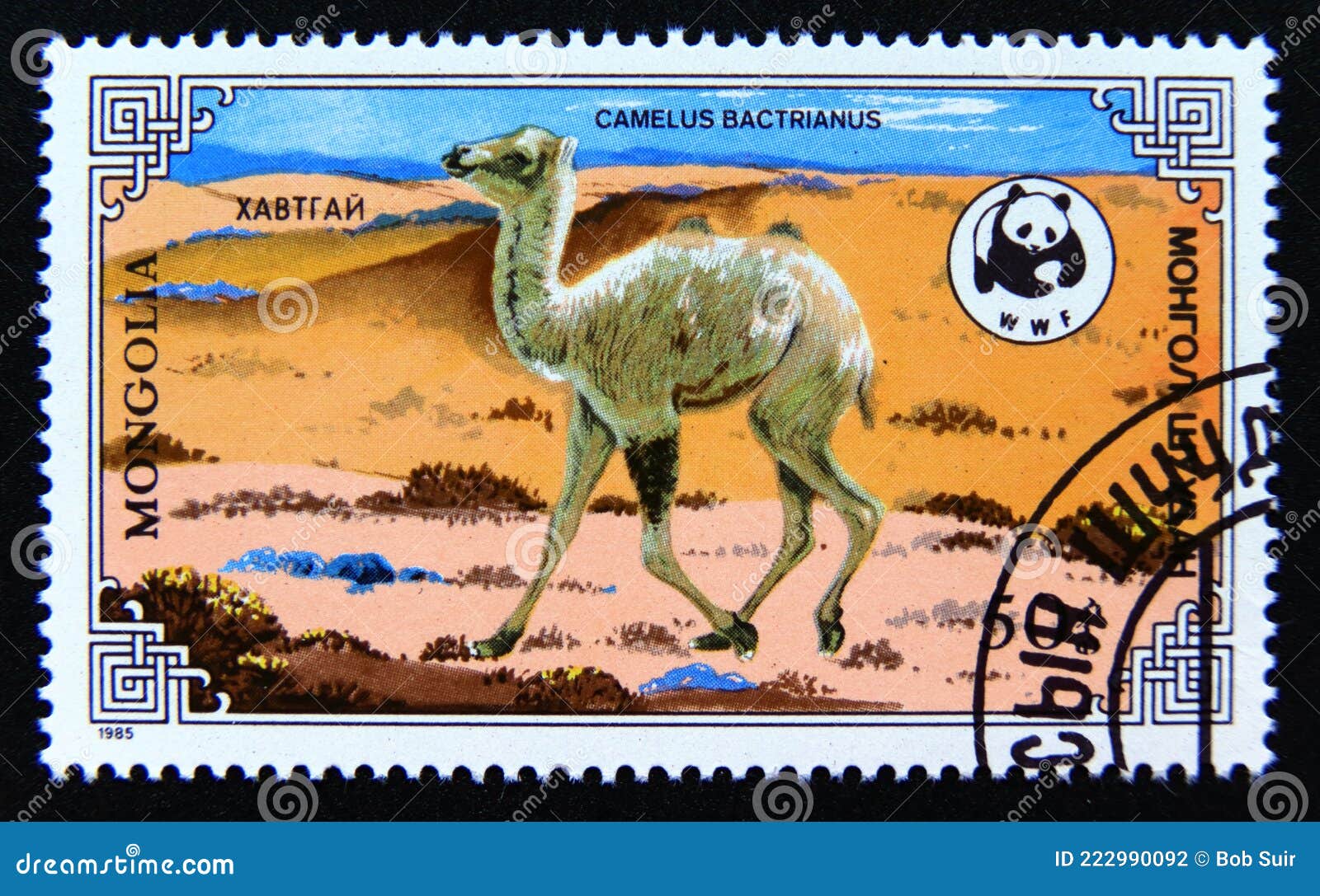 Postage Stamp Mongolia, 1985. Bactrian Camel Camelus Bactrianus ...