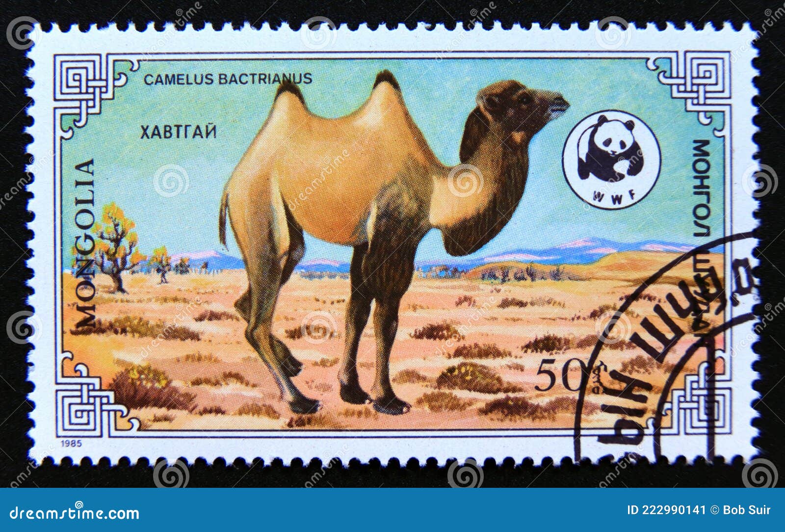 Postage Stamp Mongolia, 1985. Bactrian Camel Camelus Bactrianus ...