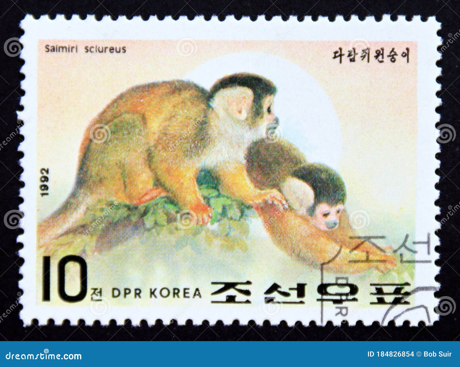 Postage Stamp North Korea, 1992, Common Squirrel Monkey, Saimiri ...