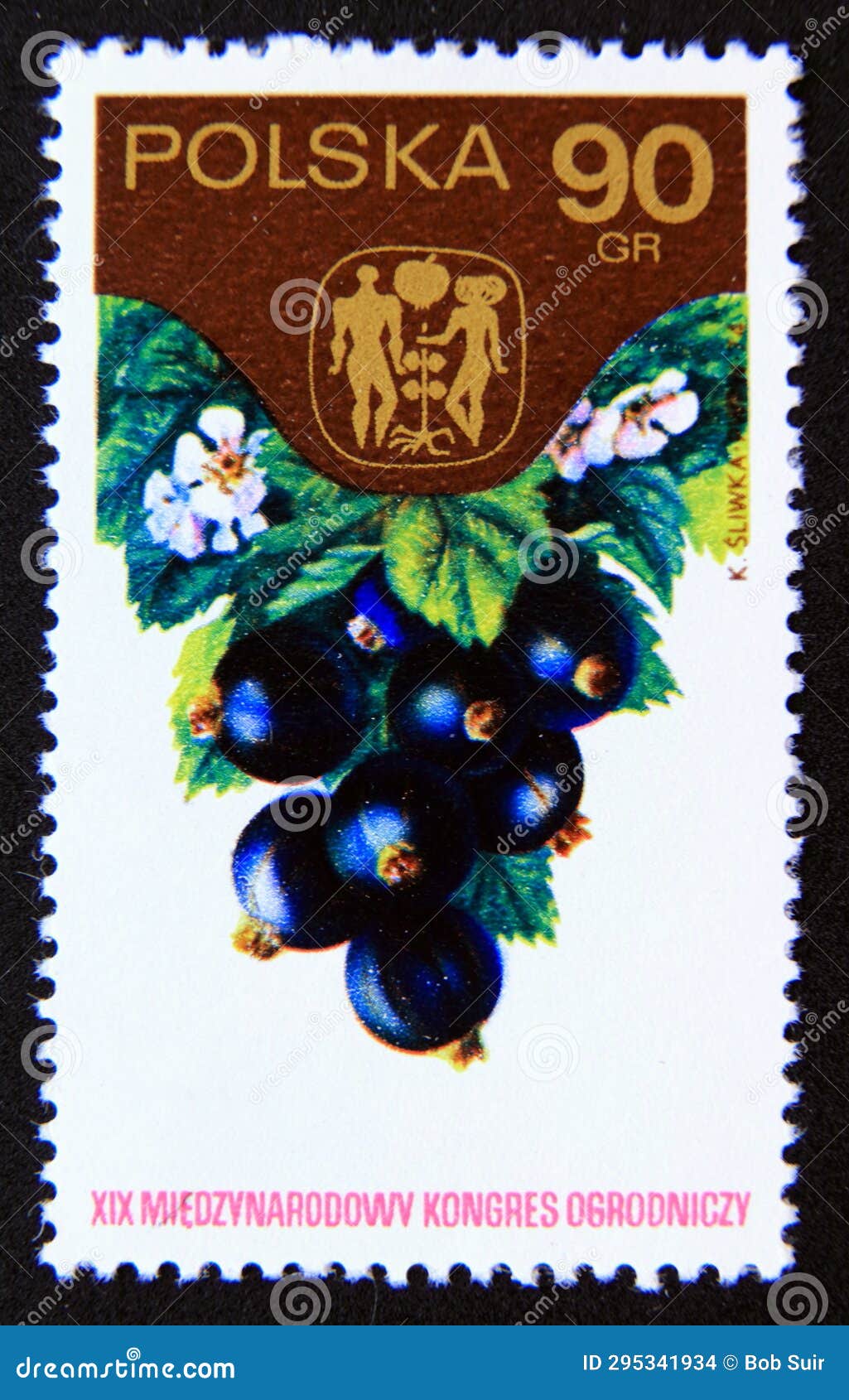 Postage Stamp Poland 1974. Black Currants Ribes Nigrum Fruit Editorial ...