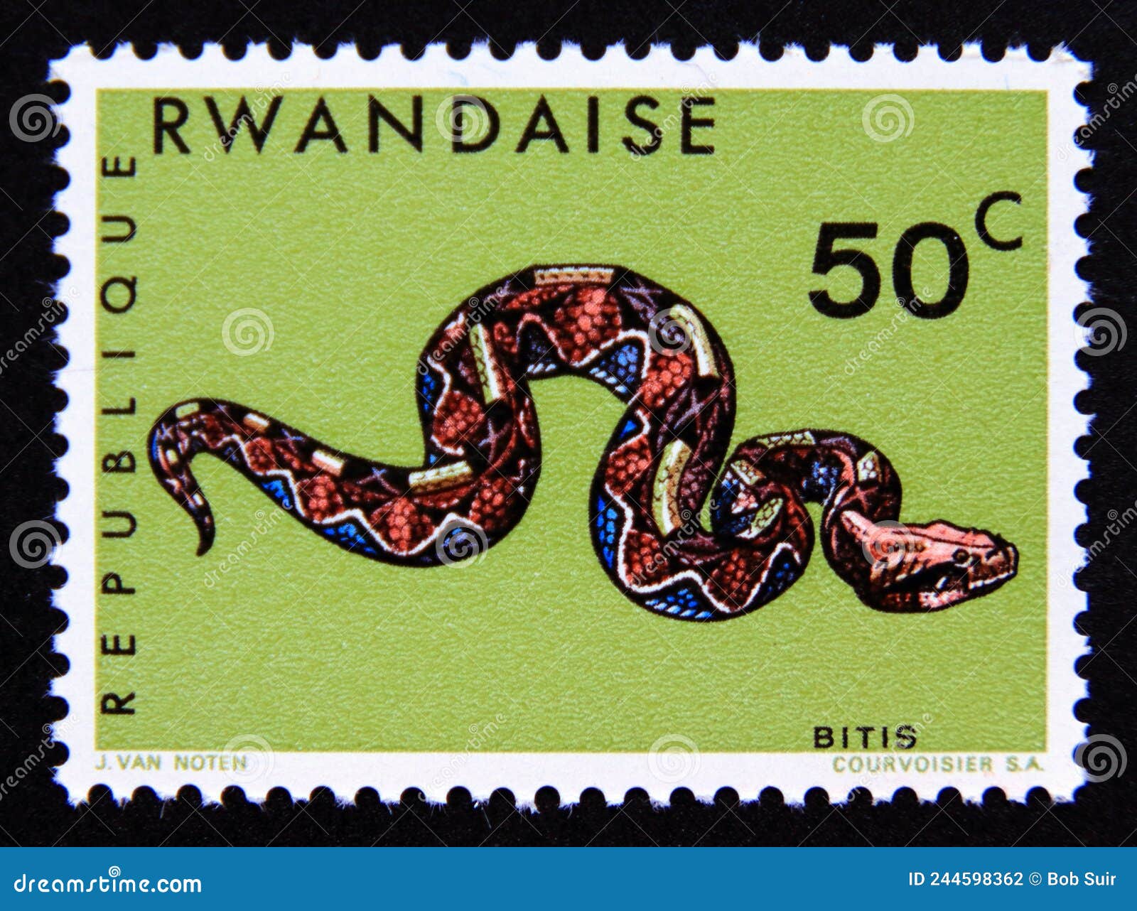 Postage Stamp Rwanda, 1967. Gaboon Viper Bitis Gabonica Snake Editorial ...