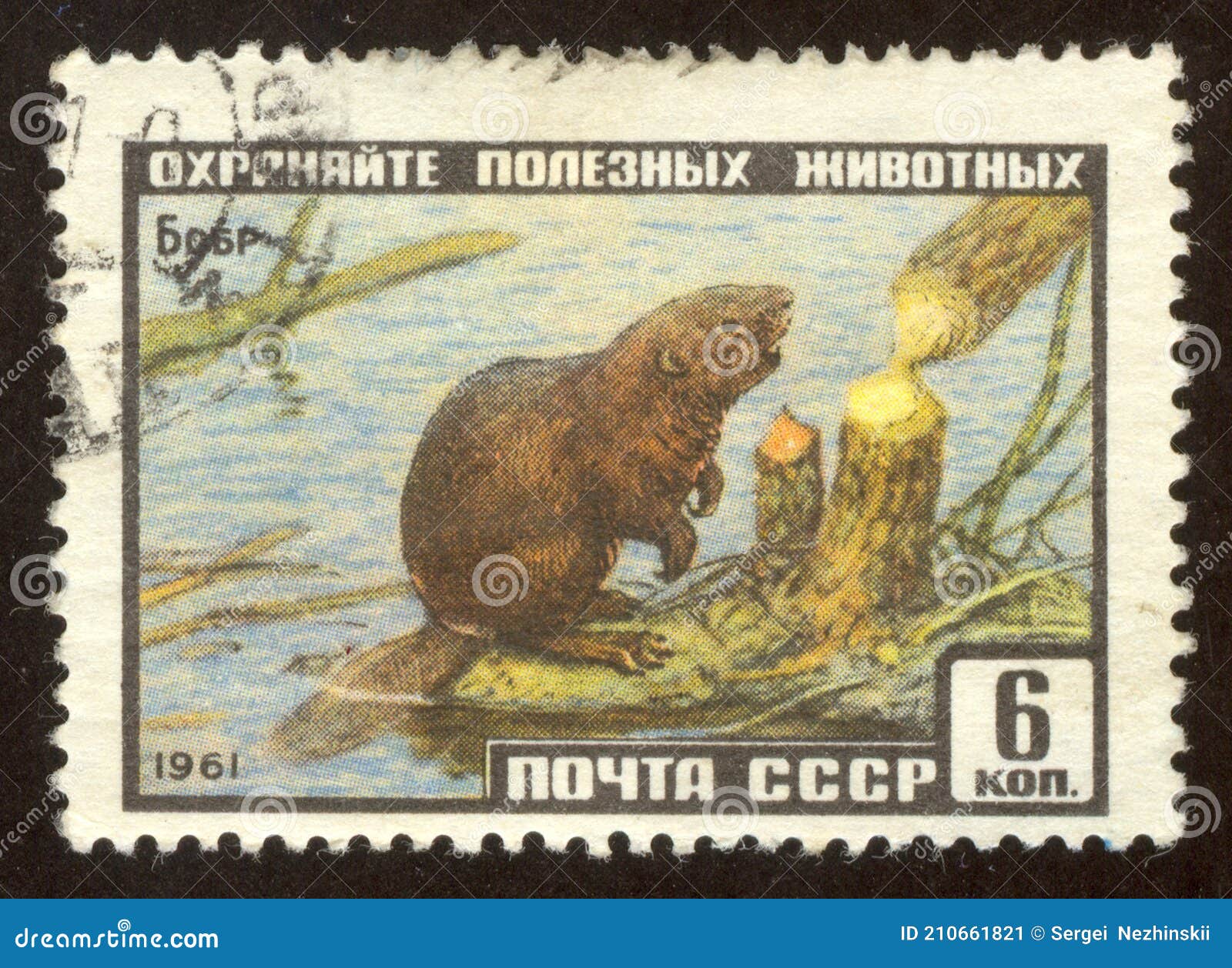 Postage stamp editorial photo. Image of beaver, envelope - 210661821