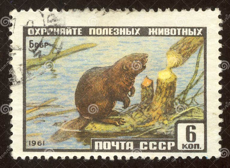 Postage stamp editorial photo. Image of beaver, envelope - 210661821