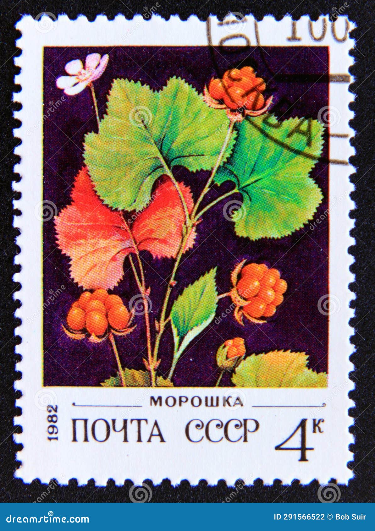 Postage Stamp Soviet Union, Ussr 1982. Cloudberry Rubus Chamaemorus ... Postage Stamp Soviet Union, Ussr 1982. Cloudberry Rubus Chamaemorus ...