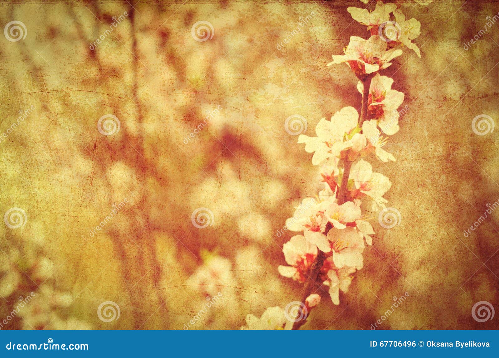 Postal De La Floración De La Primavera Stock de ilustración ...