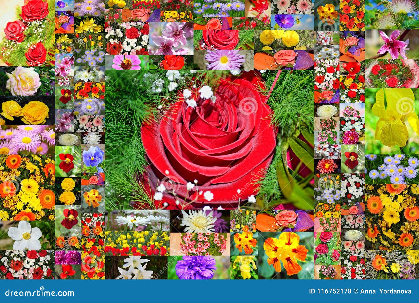Postal Hermosa Del Collage De Las Flores Foto de archivo - Imagen de ...