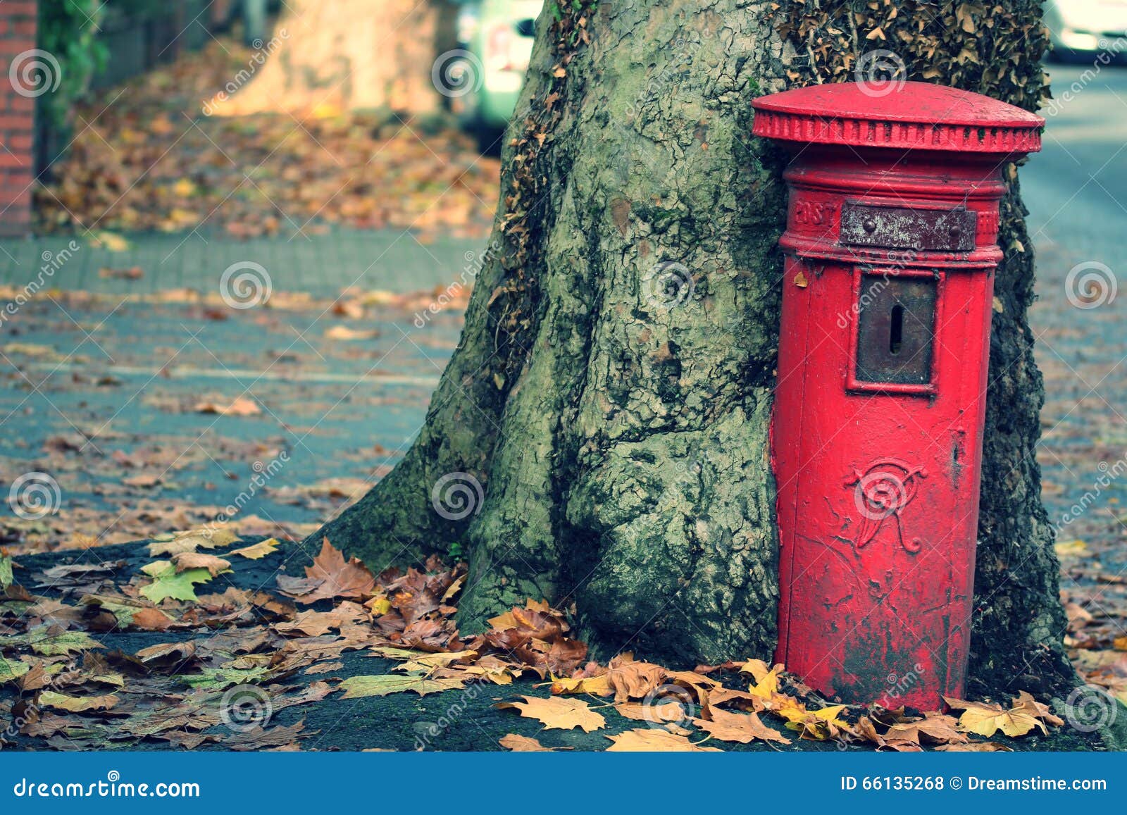 Postbox Growing Out of Tree Stock Photo - Image of mail, letters: 66135268