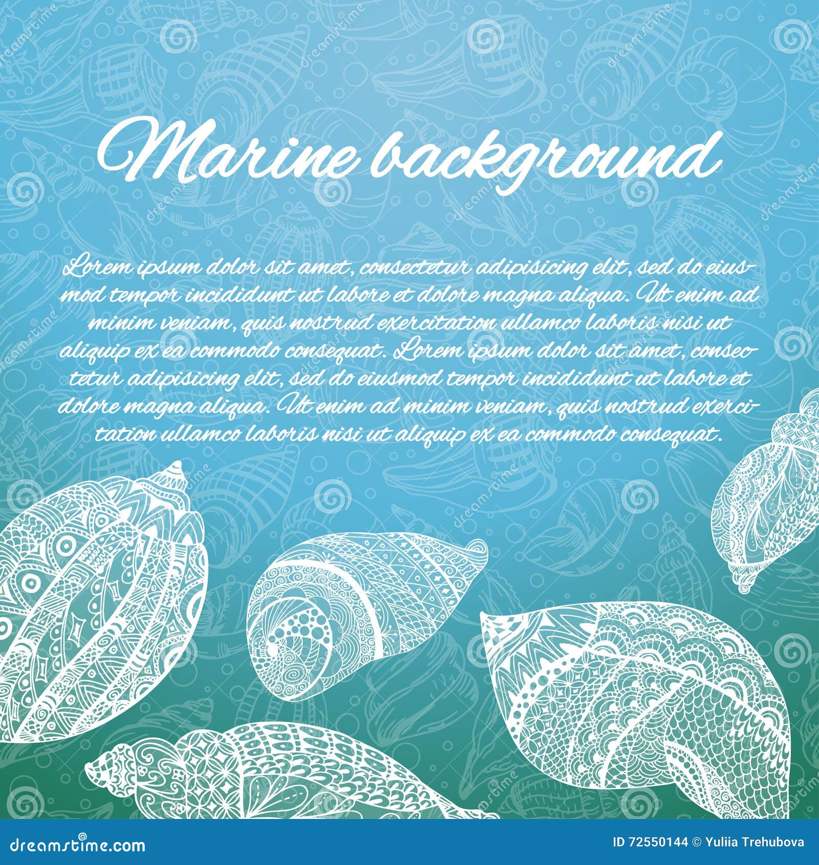 Sea Shells. Hand Drawn Marine Elements. Sketch Style Aquarium Habitats ...