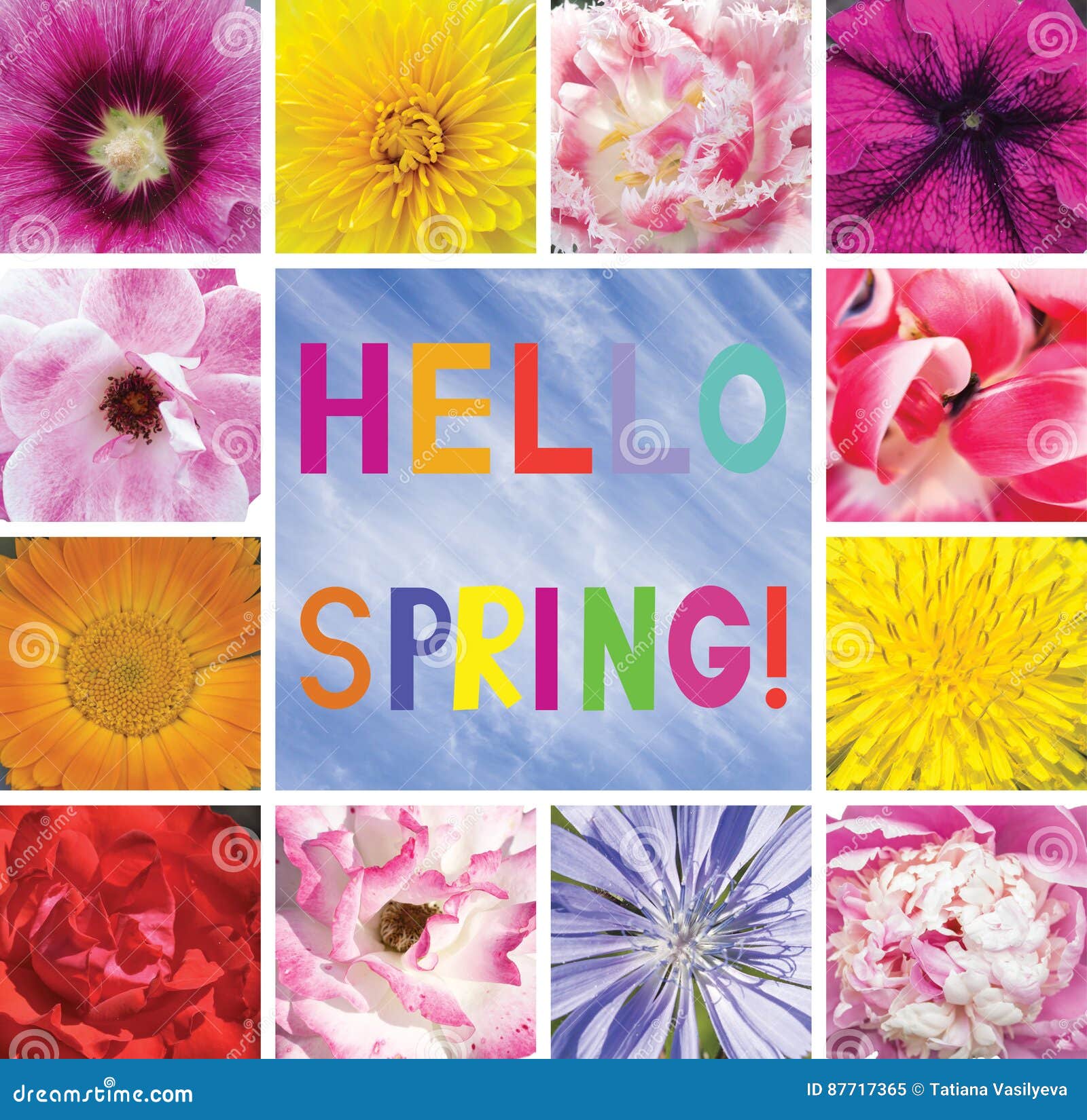 Postcard with Flowers and the Words Spring Greetings. Hello Spring ...