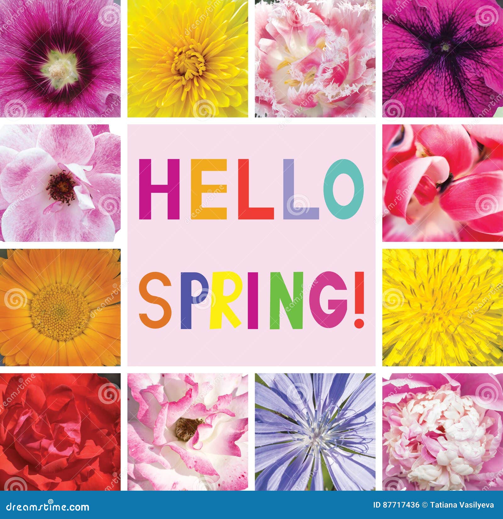Postcard with Flowers and the Words Spring Greetings. Hello Spring ...