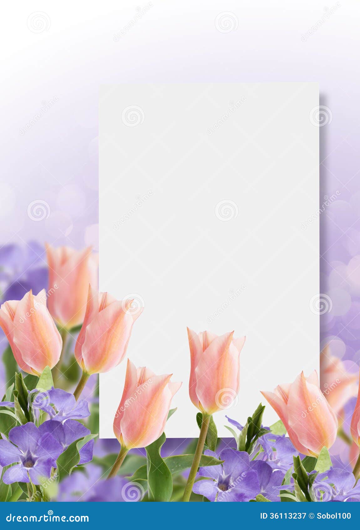 5,265 Fresh Periwinkle Stock Photos - Free & Royalty-Free Stock Photos ...