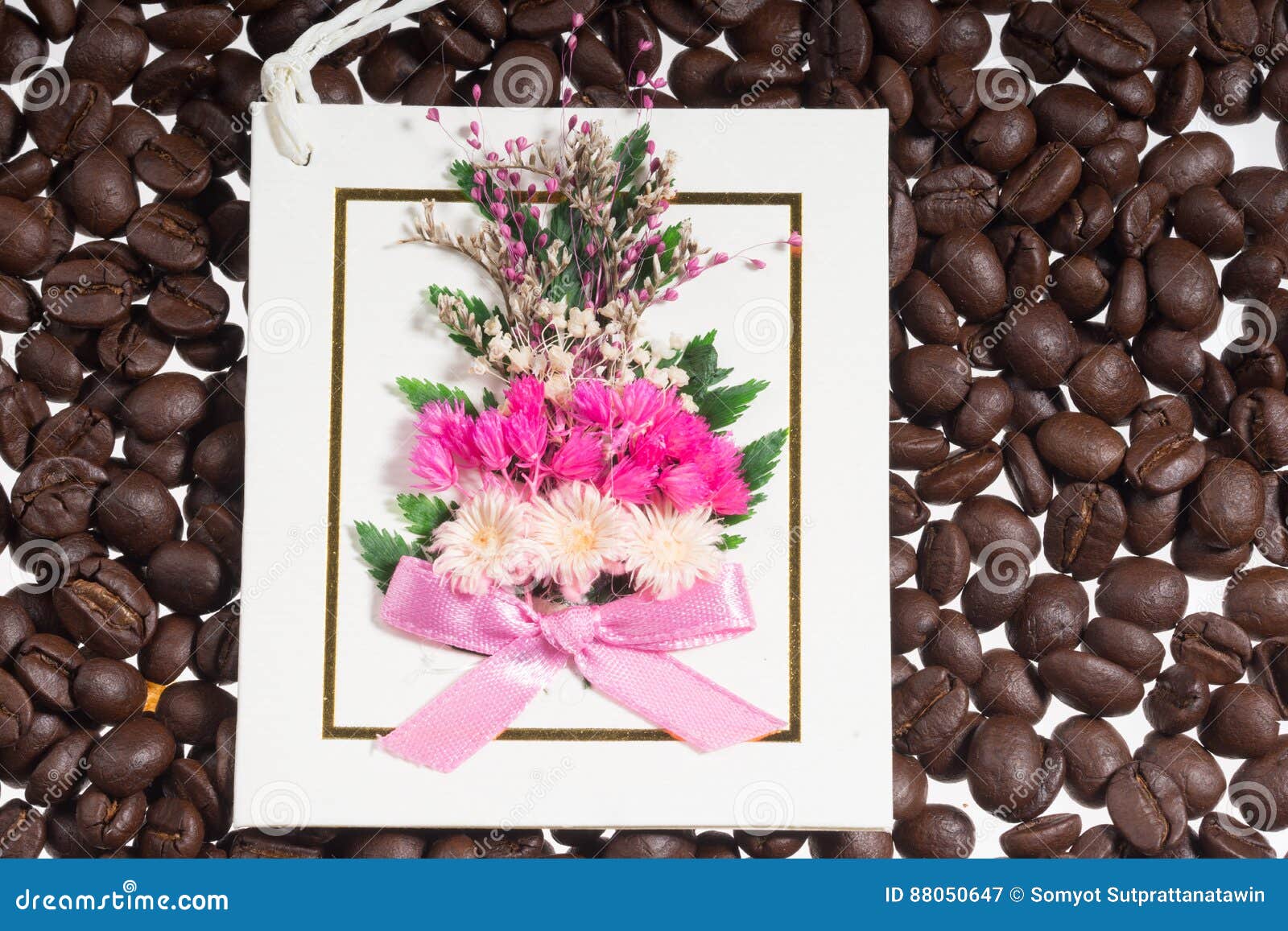 Postcard Paper With Fresh Flower White Background Royalty-Free Stock ...