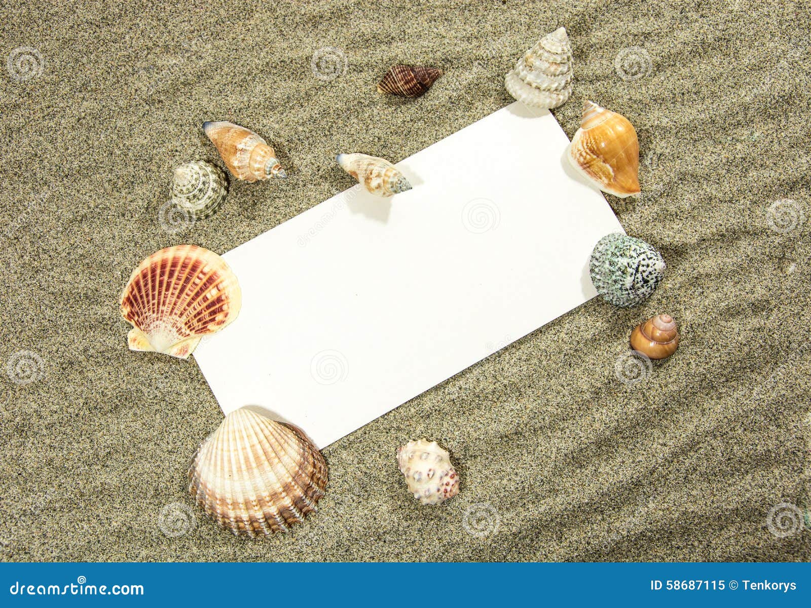 Postcard Shell stock image. Image of mail, space, shells - 58687115