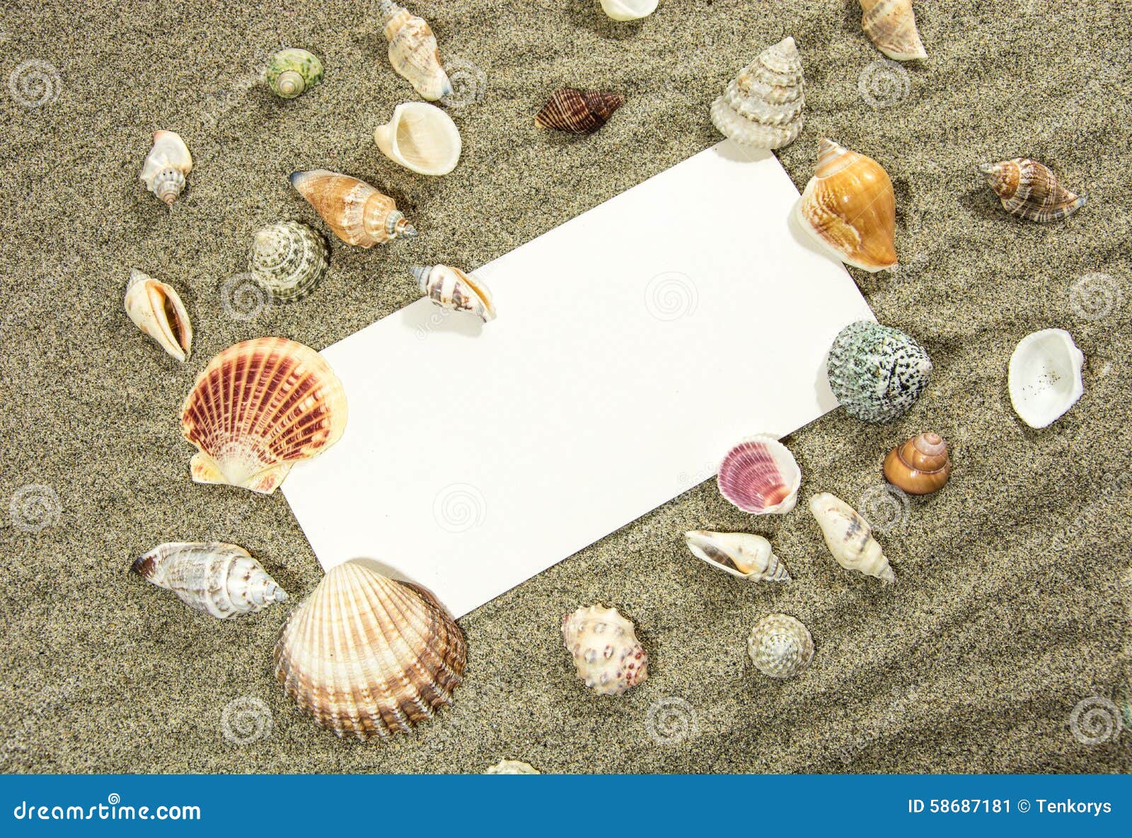 Postcard Shell stock image. Image of beach, postal, shells - 58687181