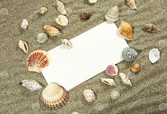 Postcard Shell stock image. Image of beach, postal, shells - 58687181