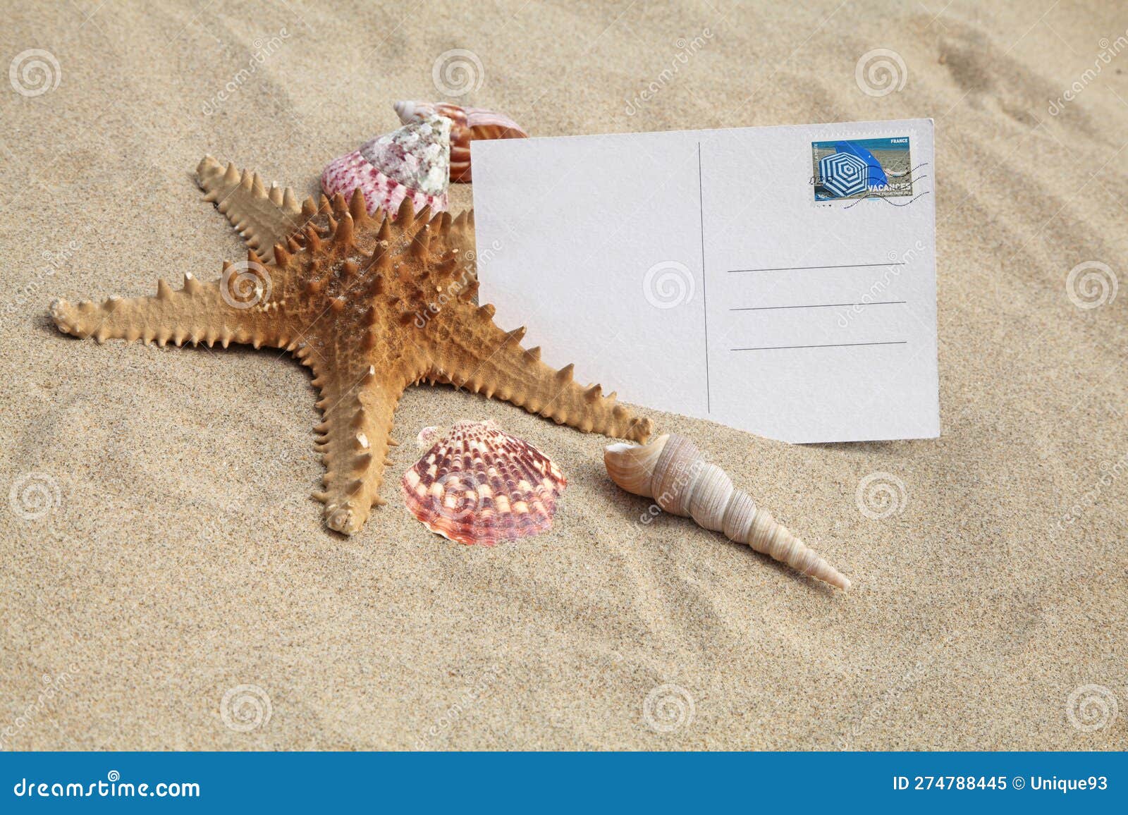 Postcard and Shells on the Sand Stock Image - Image of sand, spiral ...