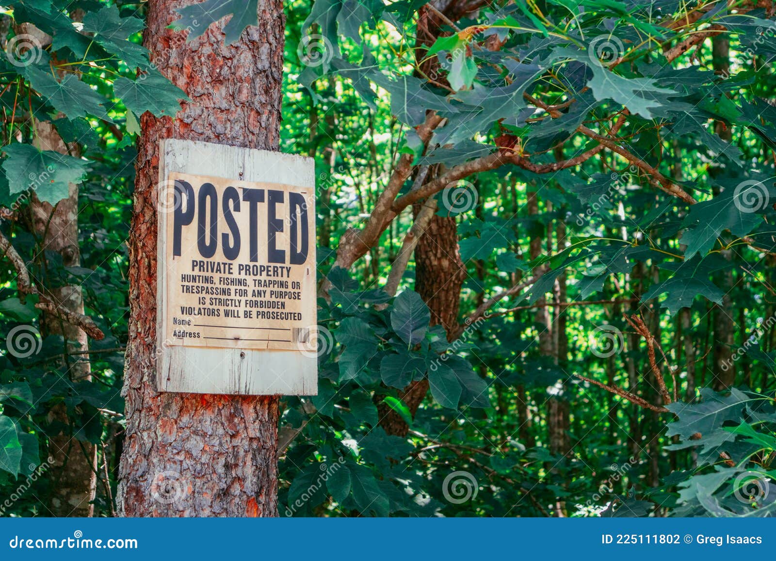 Posted No Trespassing Sign on Tree in Forest Editorial Photography ...
