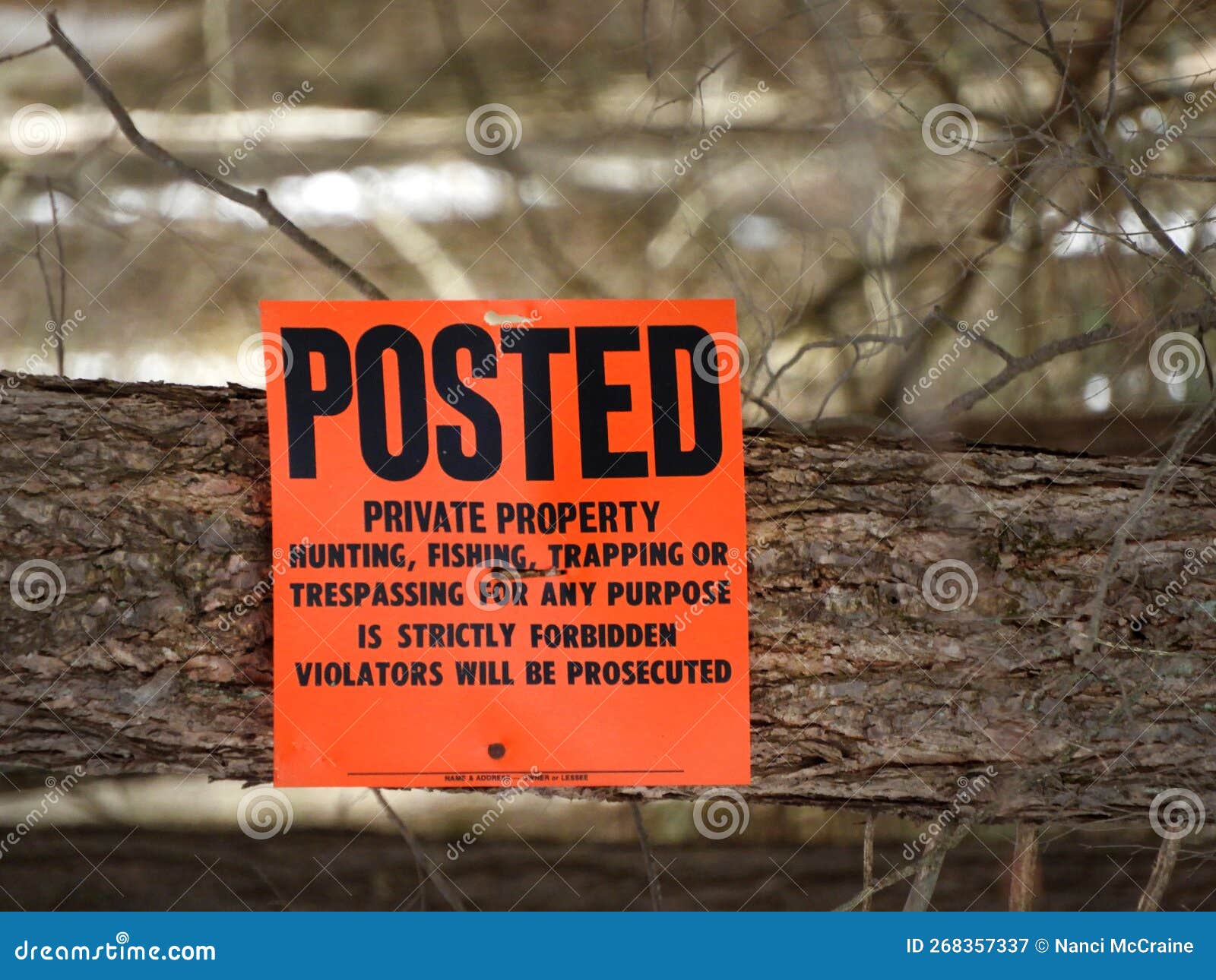 Orange Posted Sign on Fallen Tree in Forest Hiking Trail NYS Stock ...