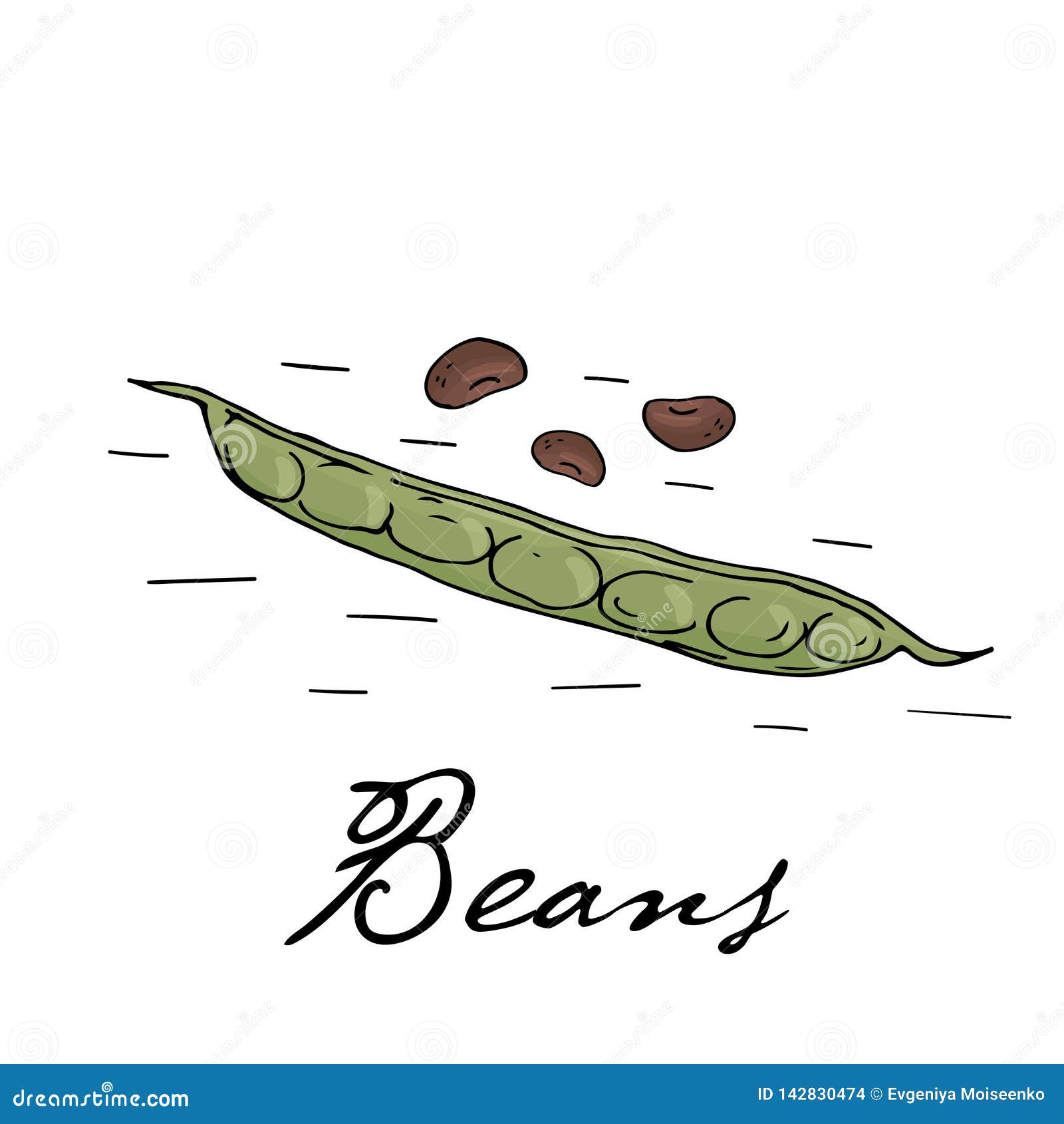 Poster with Hand Drawn Beans Isolate on a White Background Stock ...