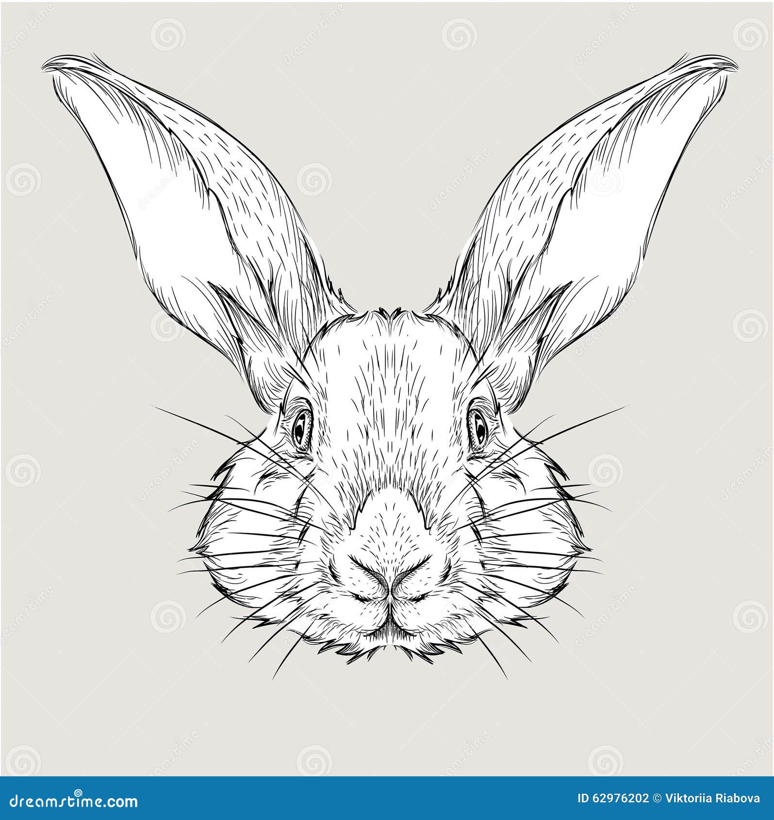 The Poster with the Image Rabbit Portrait. Hand Draw Vector ...