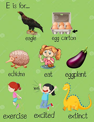 Poster Letter E and Different Words Stock Vector - Illustration of ...