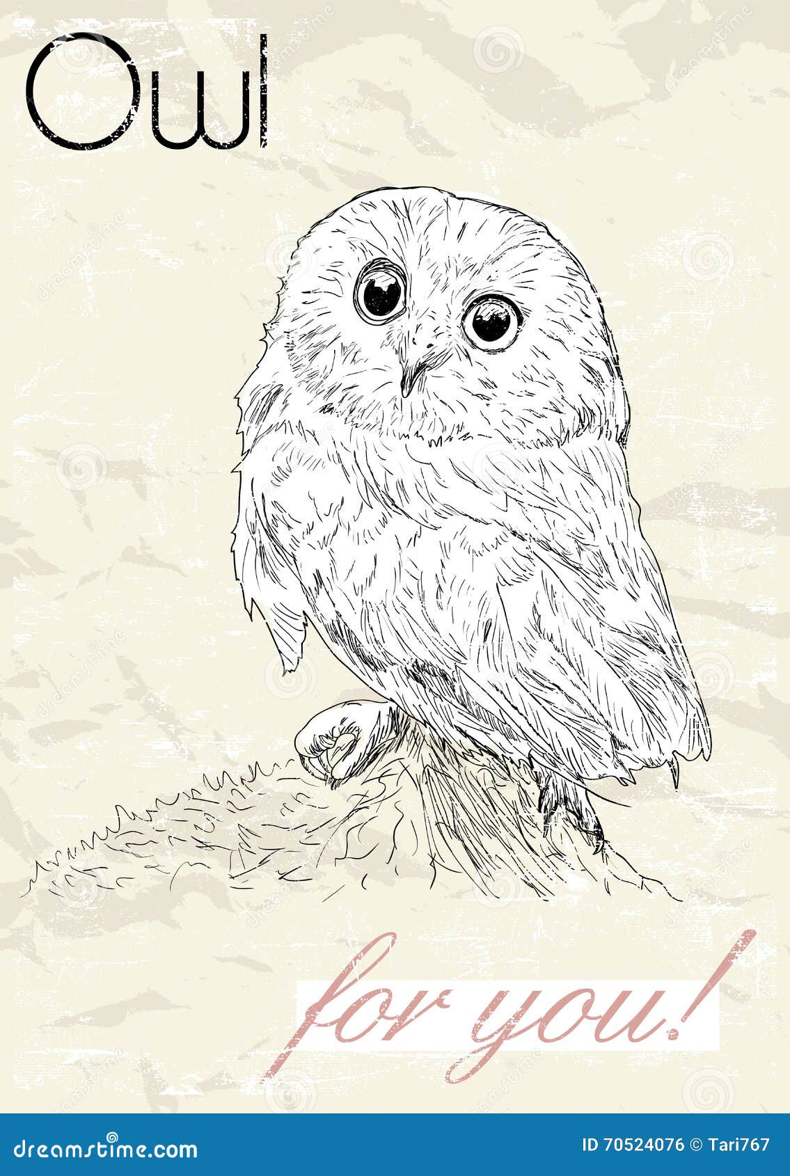 Poster with Owl. Vintage Style Stock Vector - Illustration of girl ...