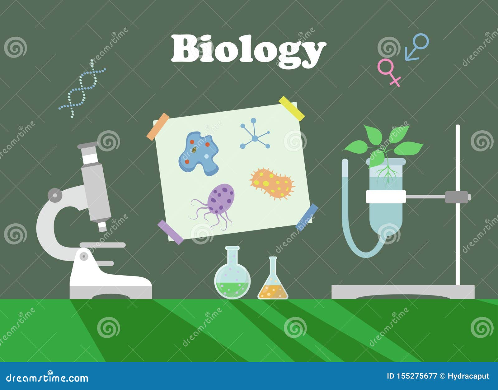 Poster To Illustrate a Biology Lesson. Stock Vector - Illustration of ...