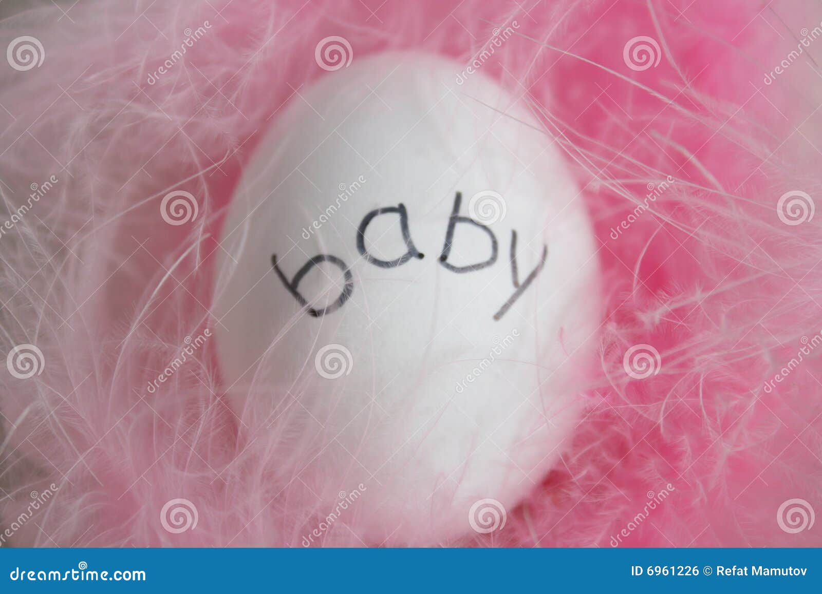 Posterity. stock photo. Image of feather, hope, family - 6961226