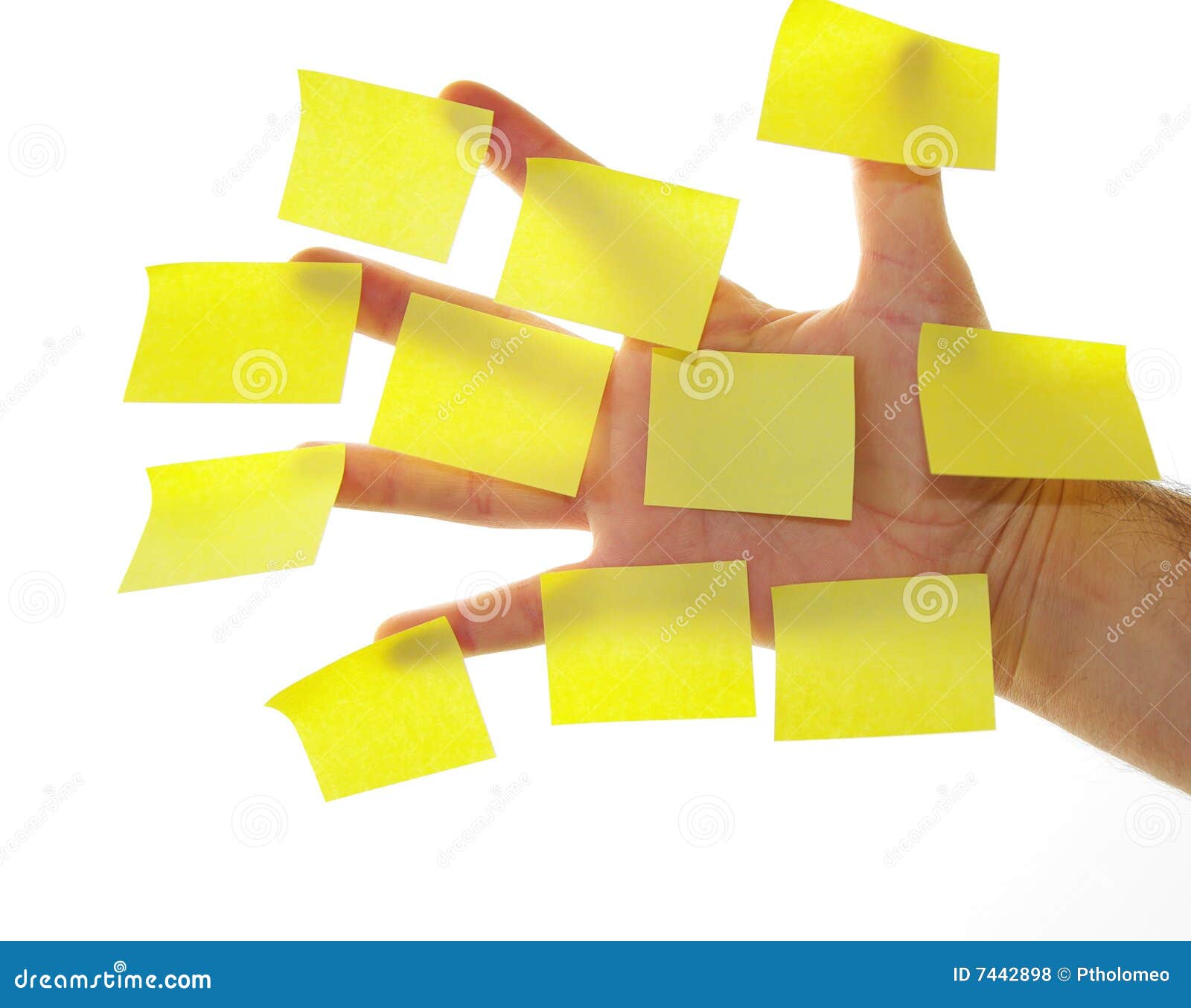 Posticks Y Fondo Blanco Pegado Foto de archivo - Imagen de piel, blanco ...