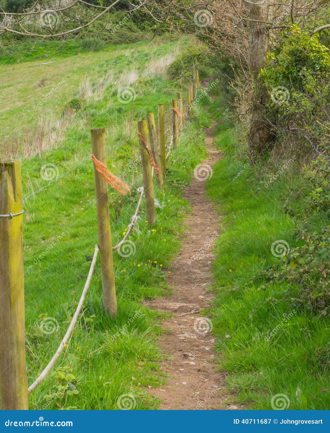 Posts Along the Footpath stock image. Image of perspective - 40711687