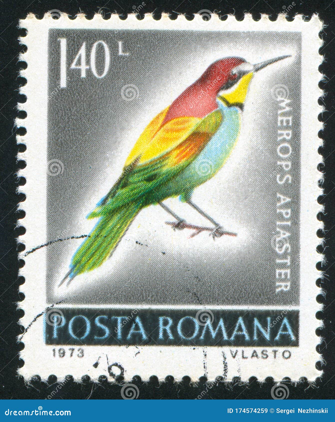 Poststamp bird editorial stock image. Image of outdoors - 174574259