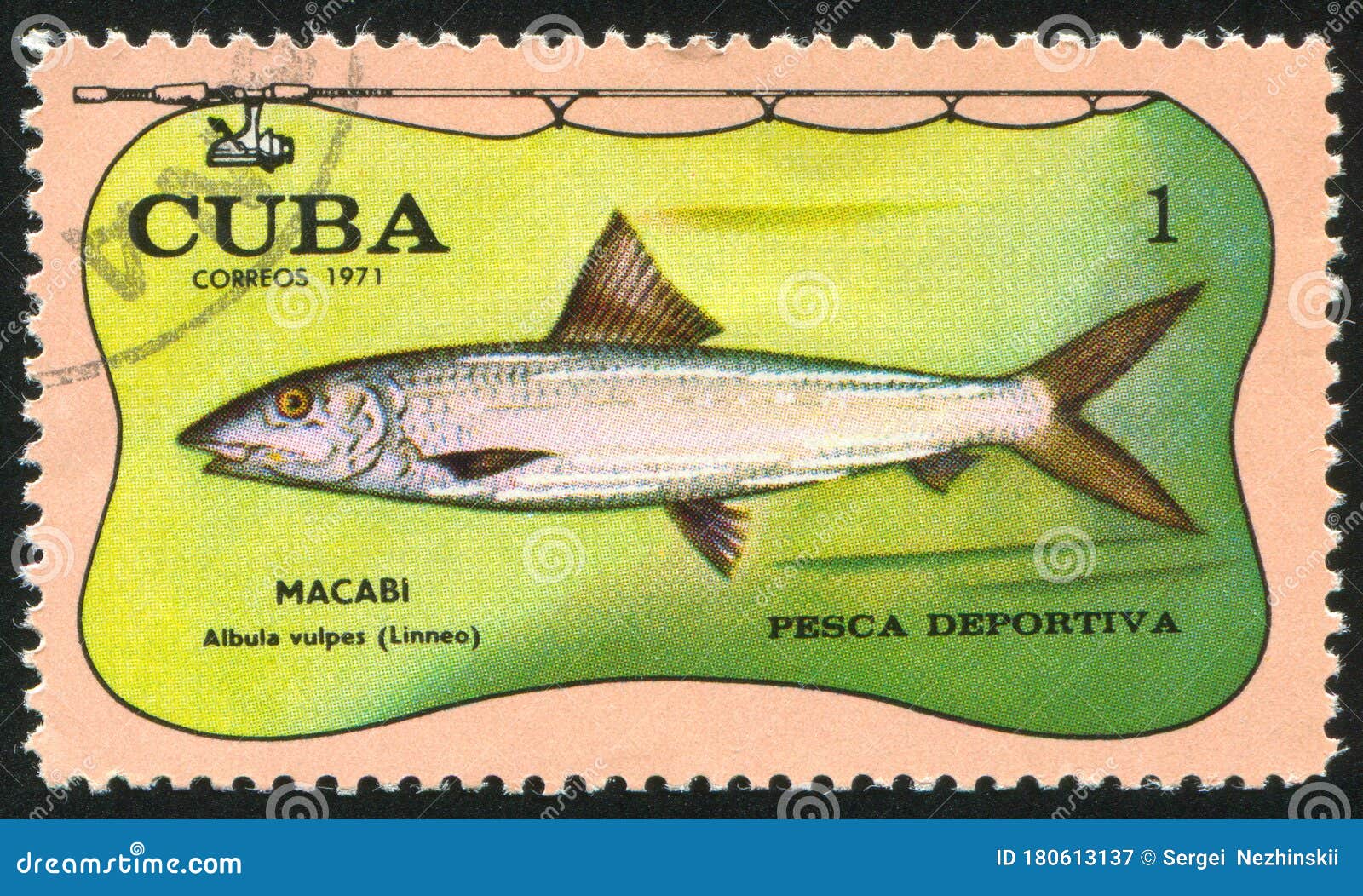 Poststamp fish editorial photography. Image of nature - 180613137