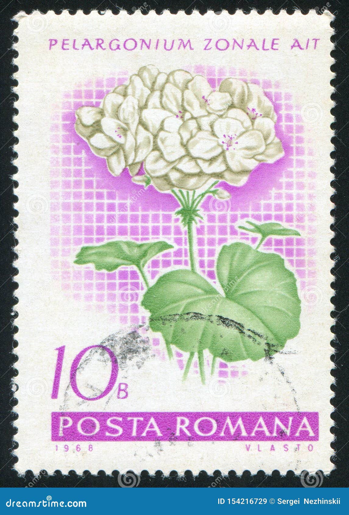 Poststamp Geranium editorial stock image. Image of retro - 154216729