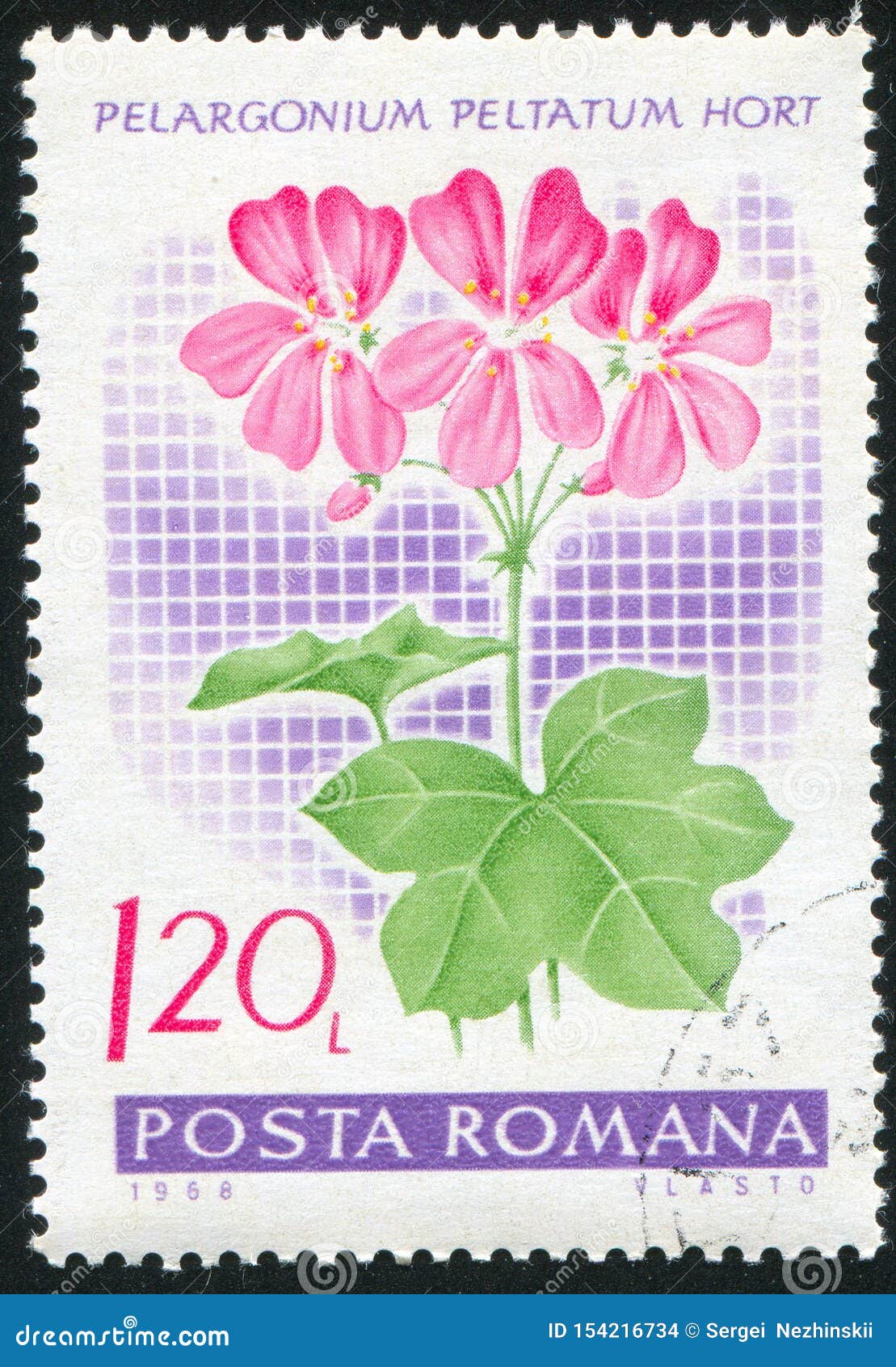 Poststamp Geranium editorial stock image. Image of message - 154216734